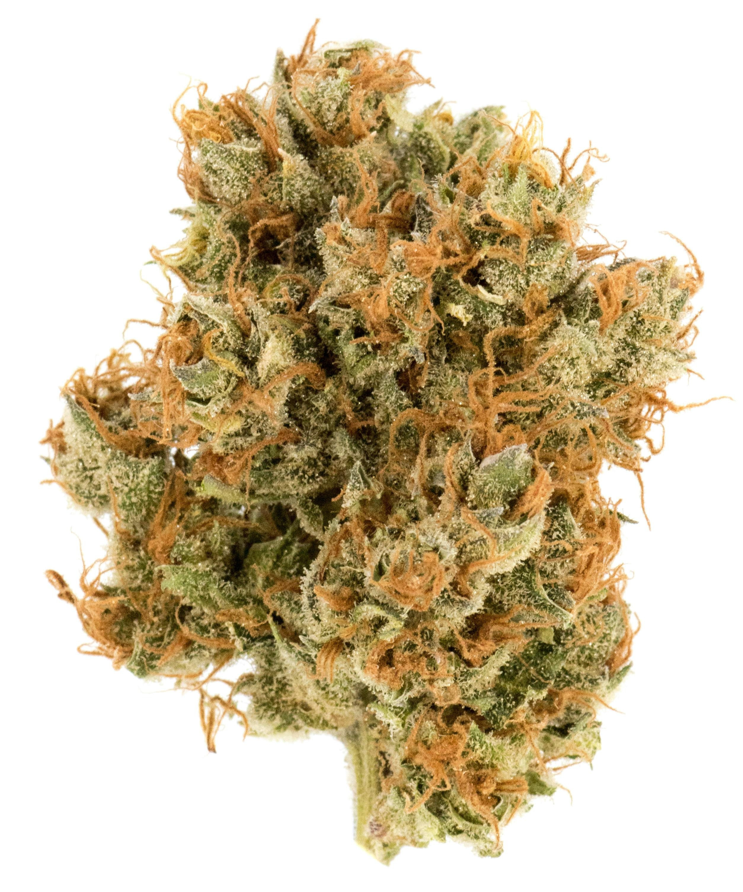 Dutch Bulk - Betrouwbare Wiet, Hasj en Cryptobestellingen, Snelle ...